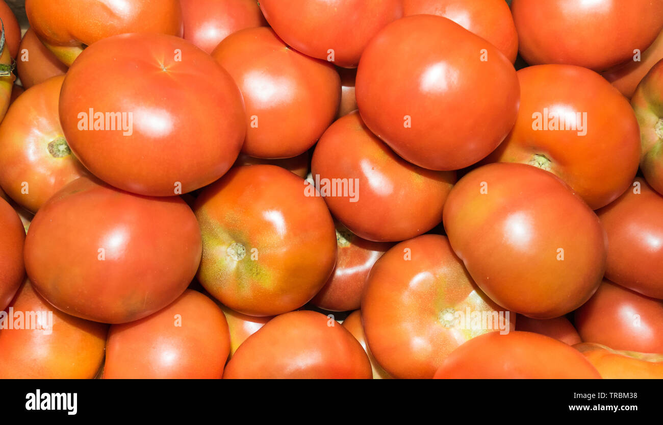 group of tomatoes seen from above filling the entire frame Stock Photo ...