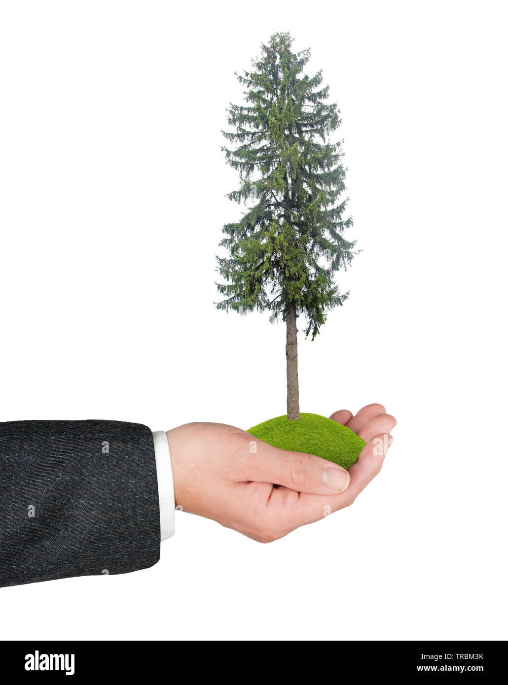 Close up fir arm hi-res stock photography and images - Alamy