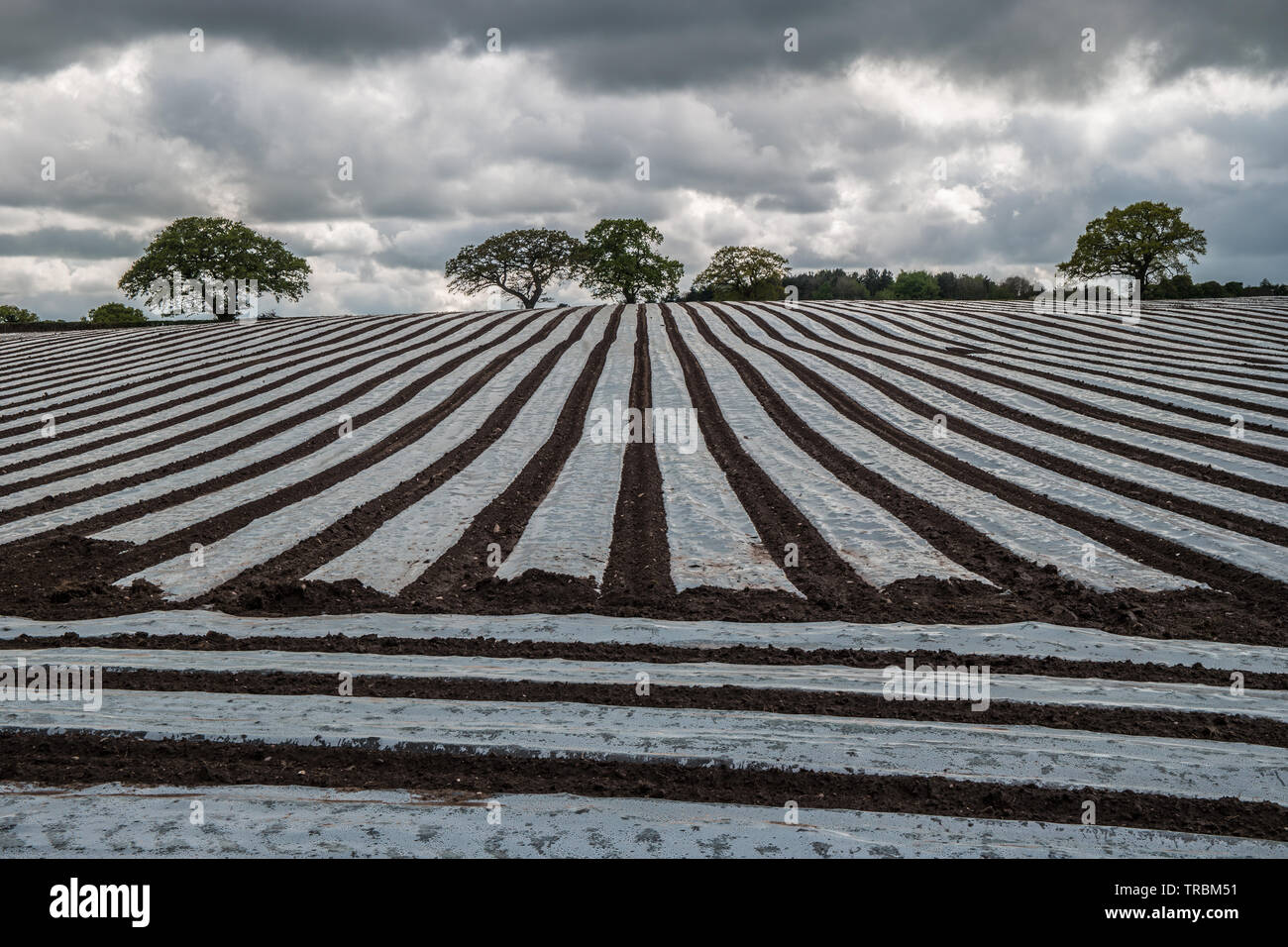 Parallel strips hi-res stock photography and images - Alamy