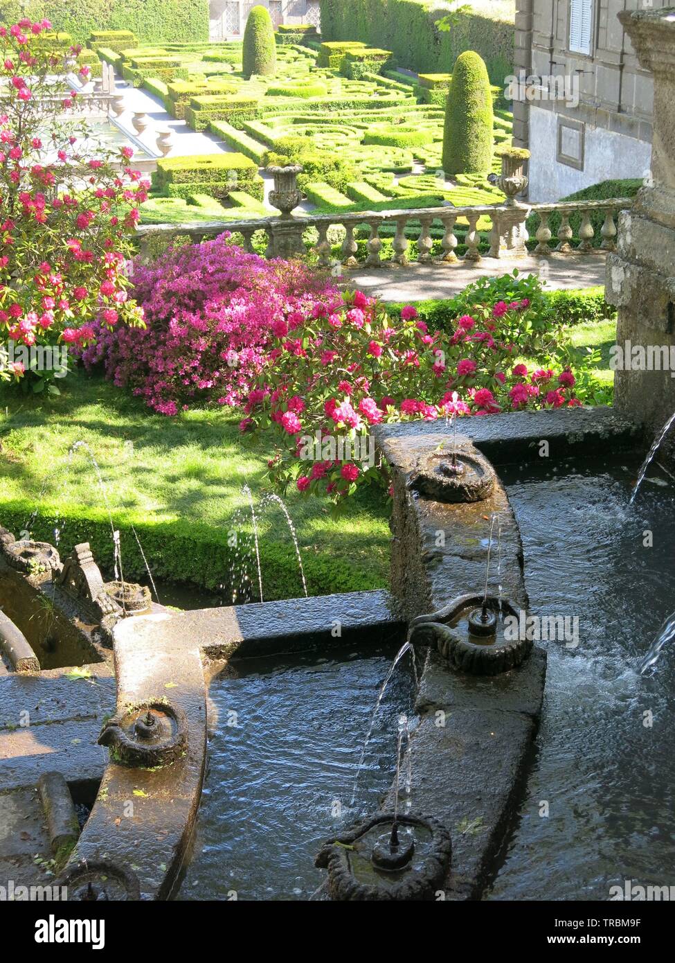 A landmark in garden history, Villa Lante consists of box hedges on the ...