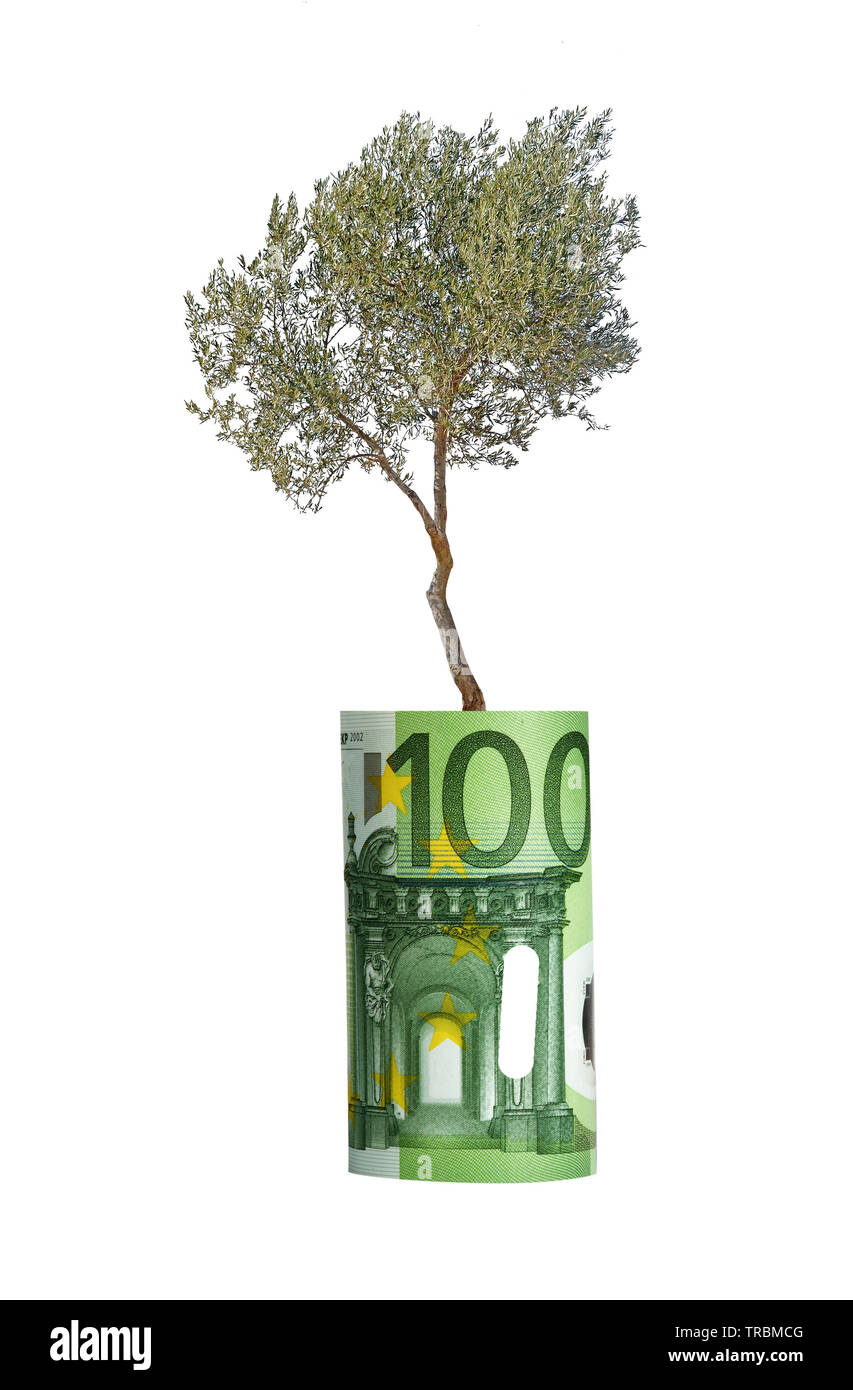 Growing up tree trunk Cut Out Stock Images & Pictures - Alamy