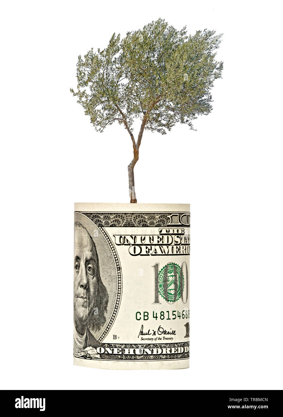 Us dollar bill leaf hi-res stock photography and images - Alamy