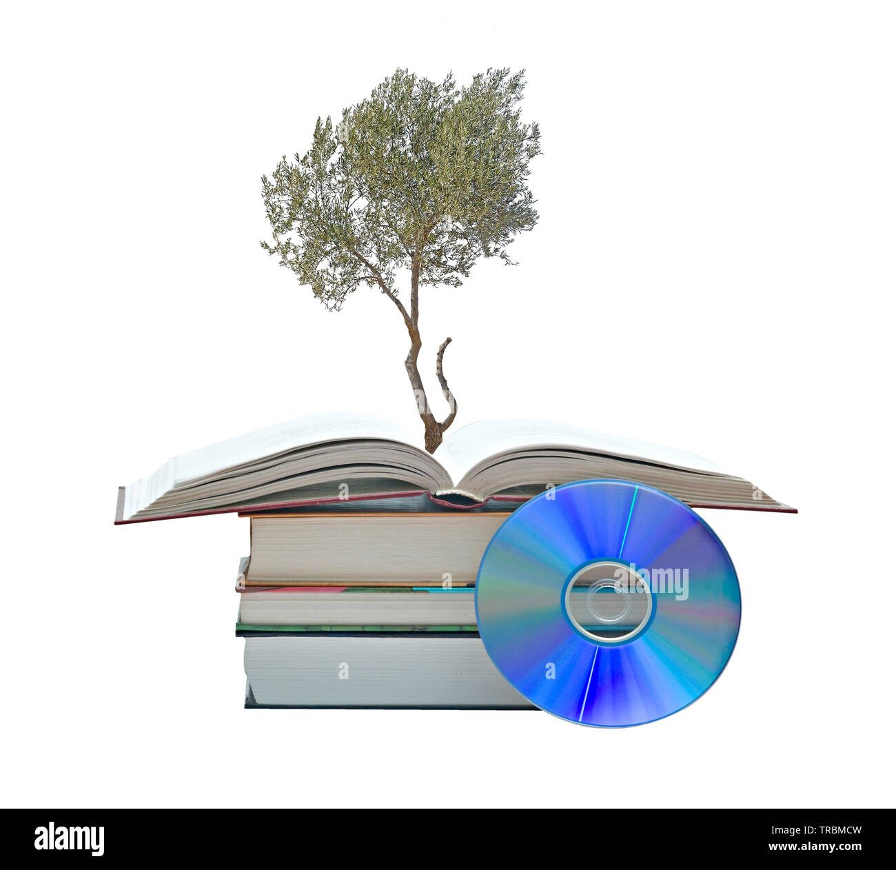 Tree in book Stock Photo - Alamy
