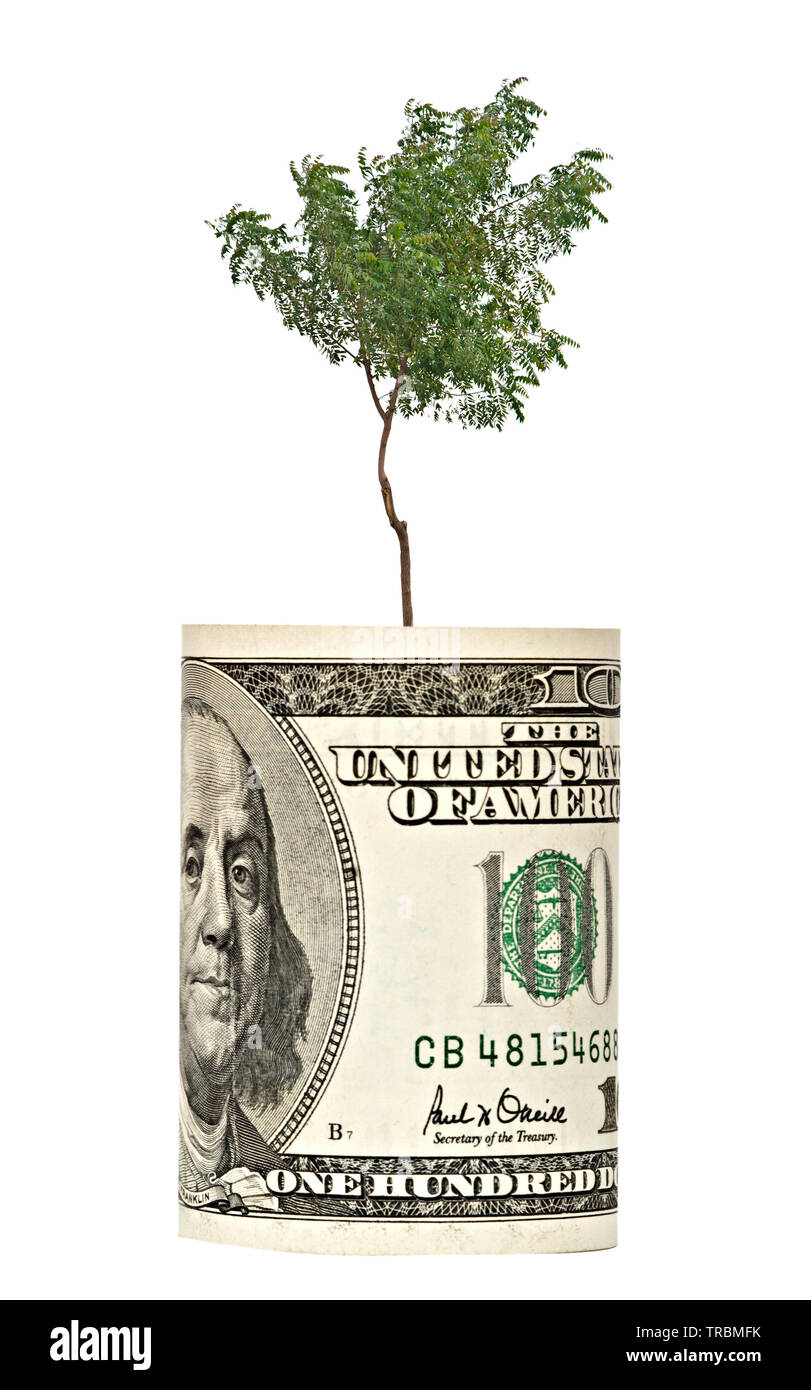 Dollar bill tree Cut Out Stock Images & Pictures - Alamy