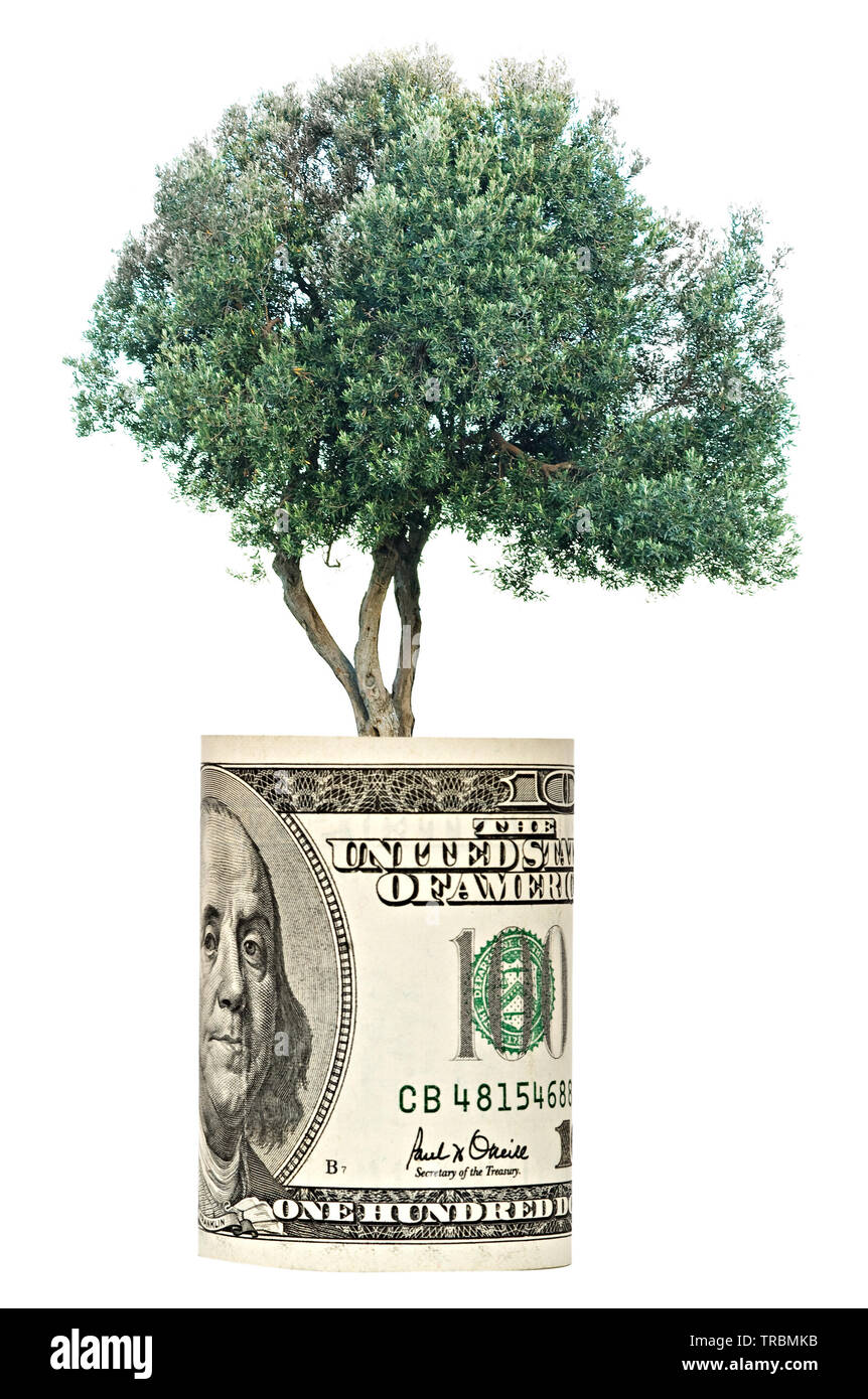 Growing up tree trunk Cut Out Stock Images & Pictures - Alamy