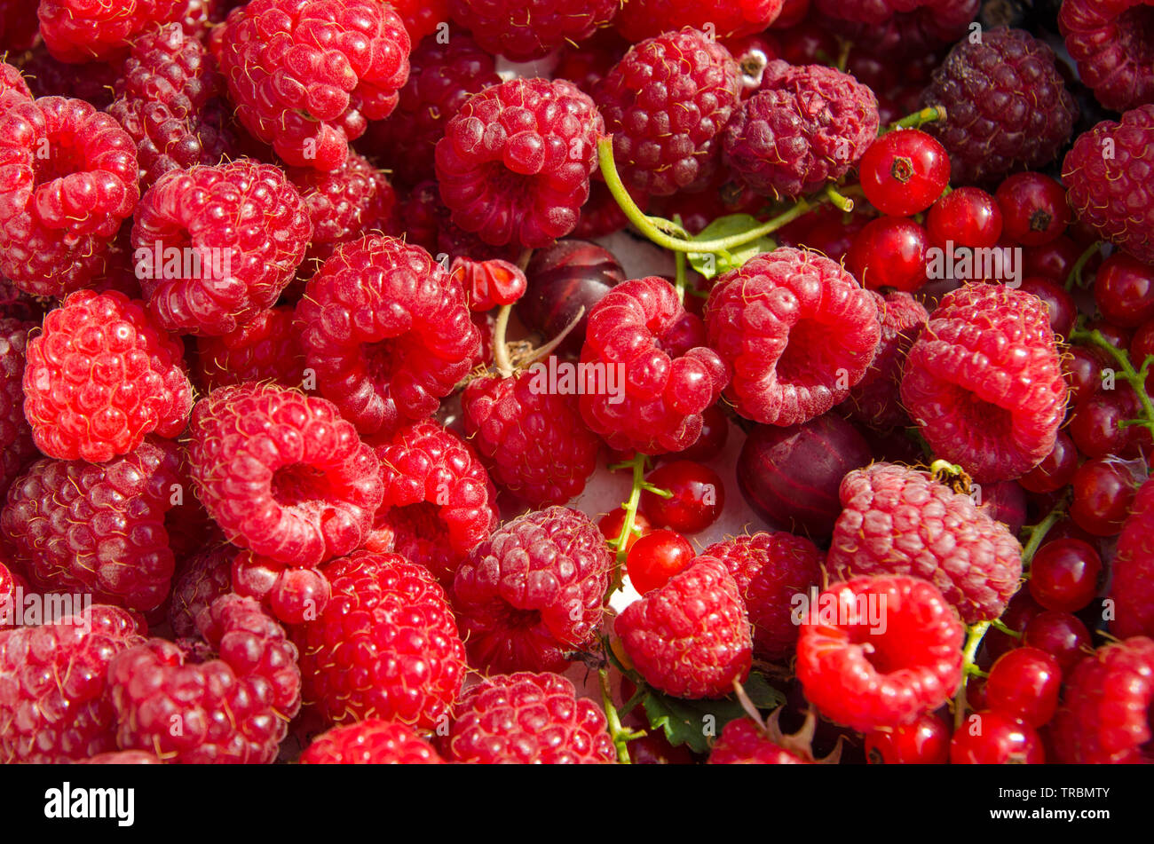 sweet and fresh raspberry background Stock Photo - Alamy