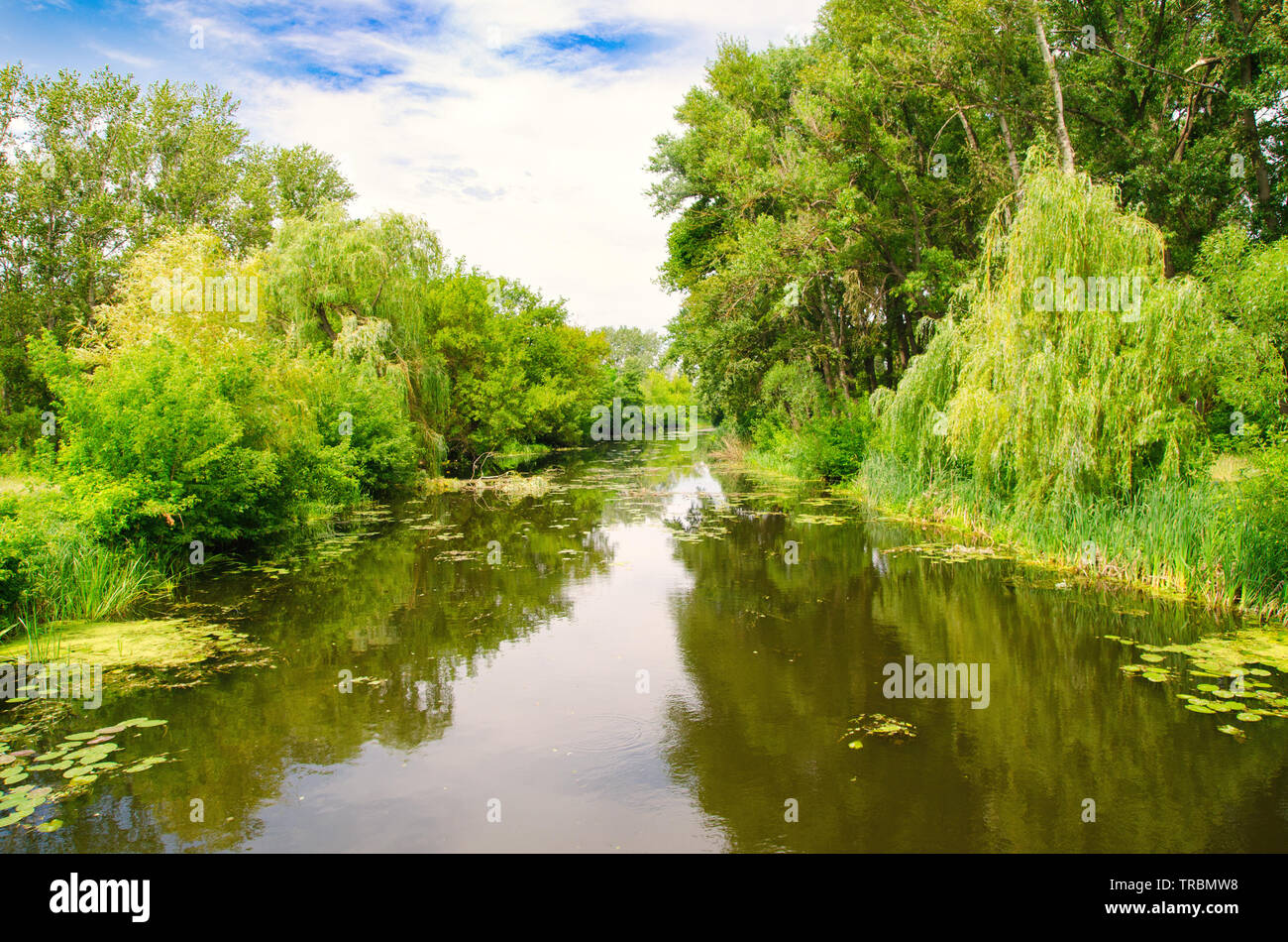 rural river with green foliage Stock Photo - Alamy
