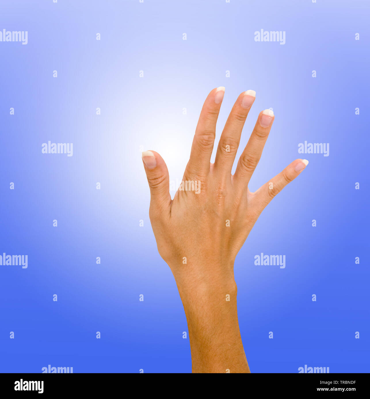 Hand isolated on blue background Stock Photo - Alamy