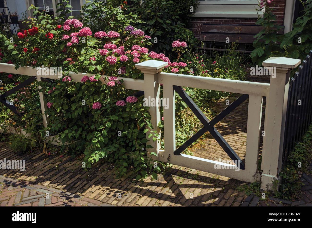 House gate and wooden fence with flowery garden on the Begijnhof in ...