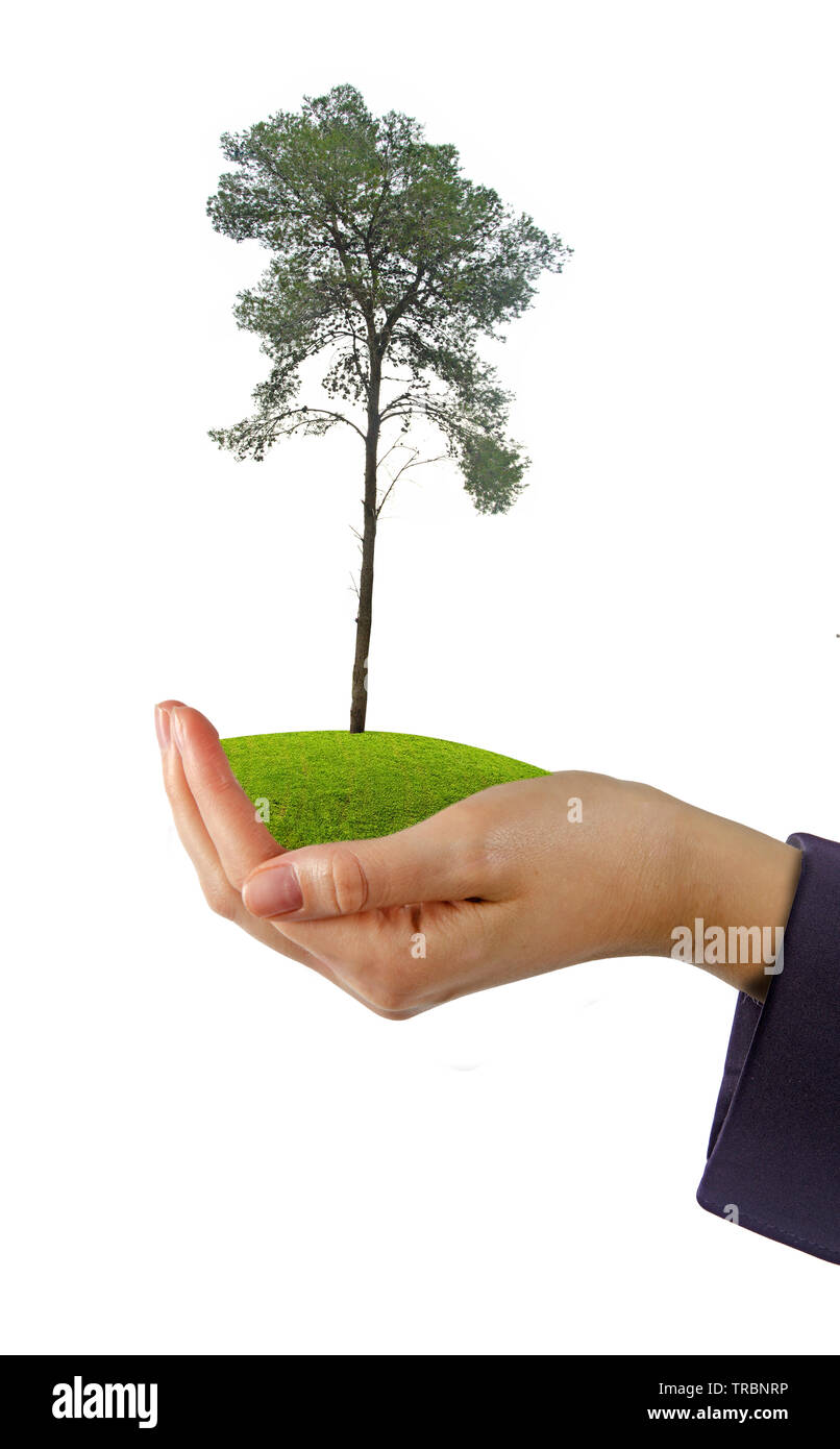 tree in hand Stock Photo - Alamy