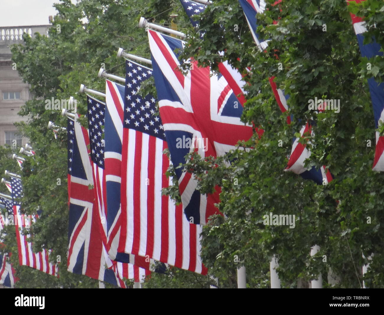 The Mall decorated with U.S. flags for Donald Trump state visit to the ...