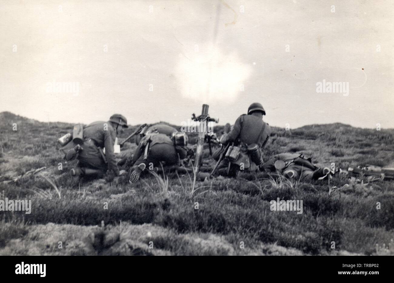 German soldiers fire a Mortar on the Russian Front 1942 Stock Photo - Alamy