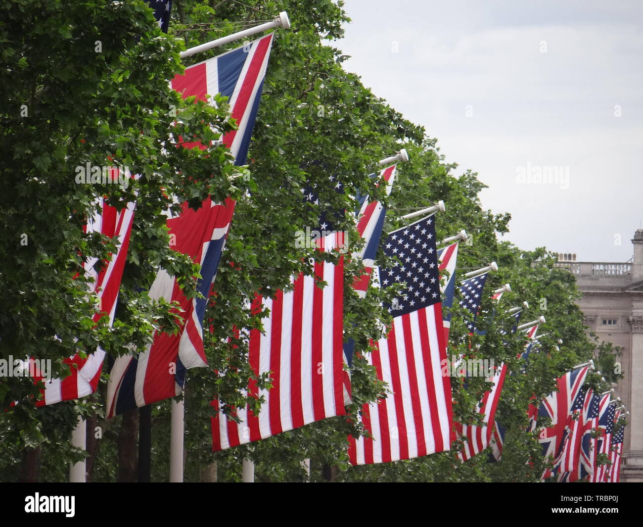 The Mall decorated with U.S. flags for Donald Trump state visit to the ...