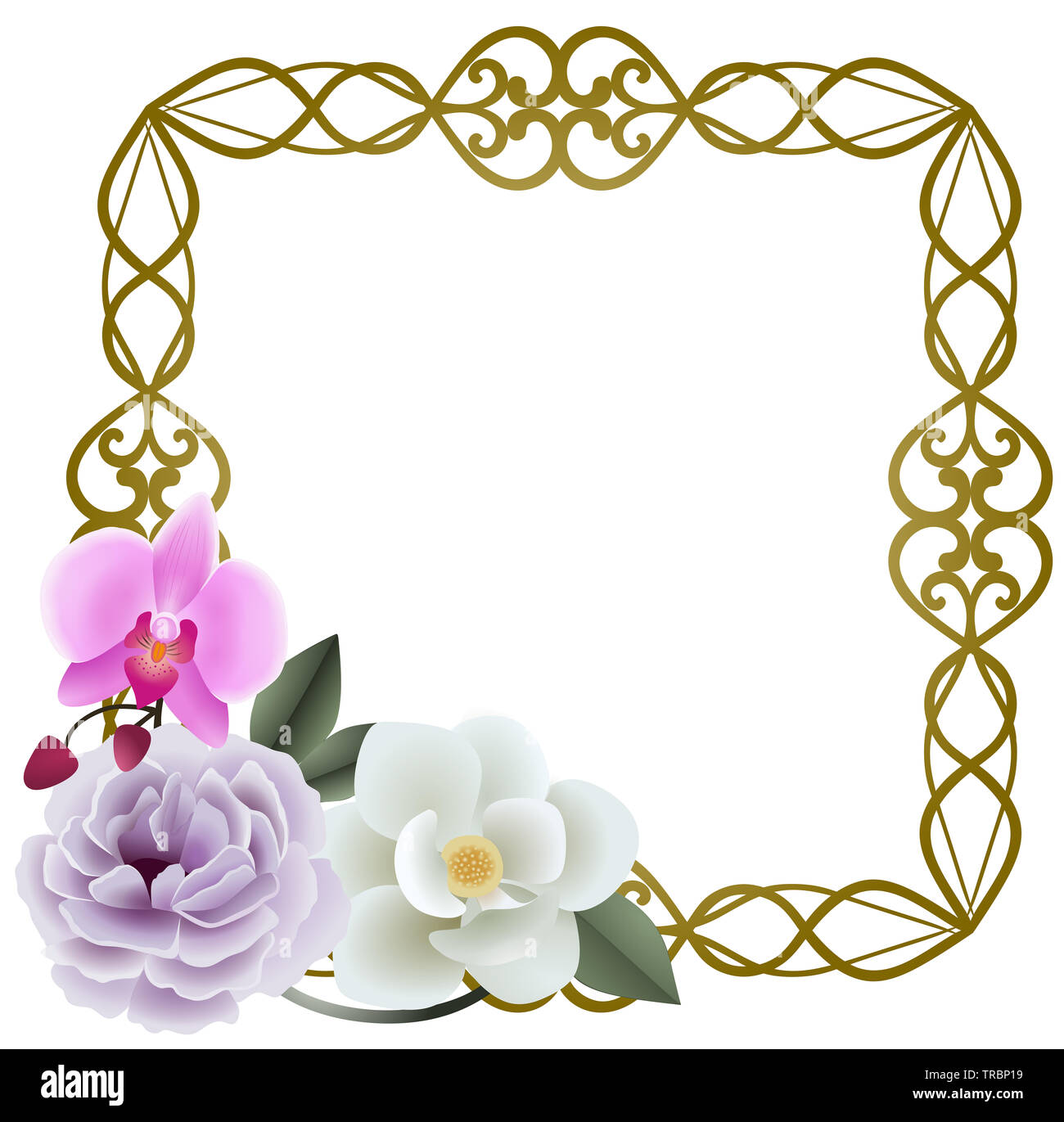 Greeting card frame flowers Cut Out Stock Images & Pictures - Alamy