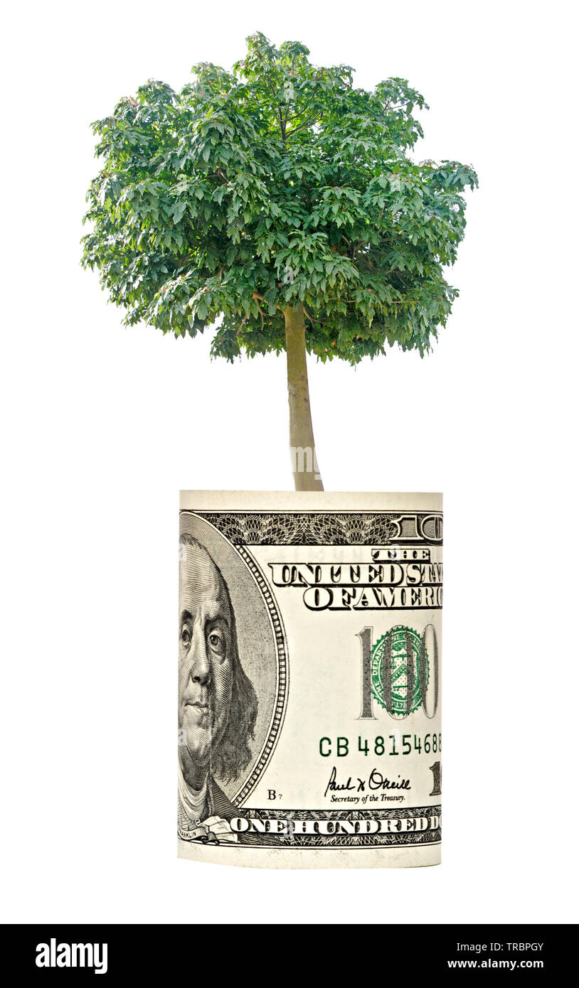 tree growing from dollar bill Stock Photo - Alamy