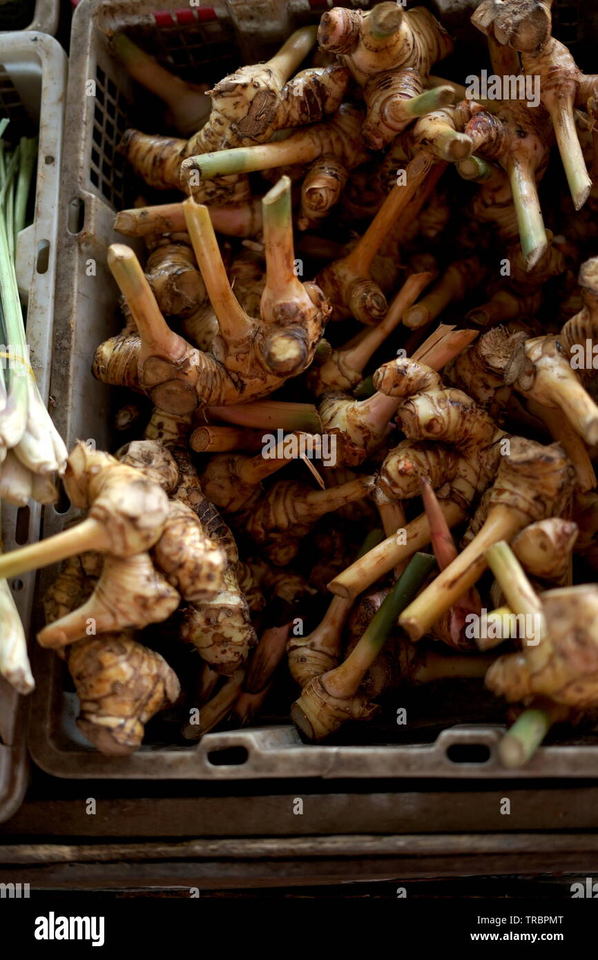 Pile of fresh Galangal herb at Vegetable market Stock Photo - Alamy