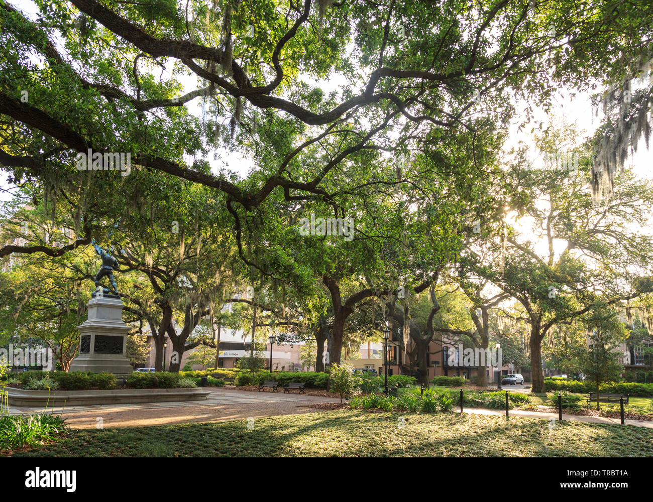Savannah georgia madison square hi-res stock photography and images - Alamy