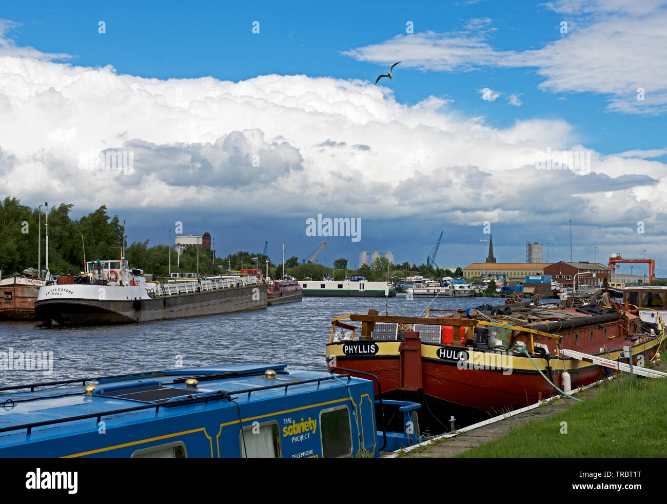 Goole hi-res stock photography and images - Alamy