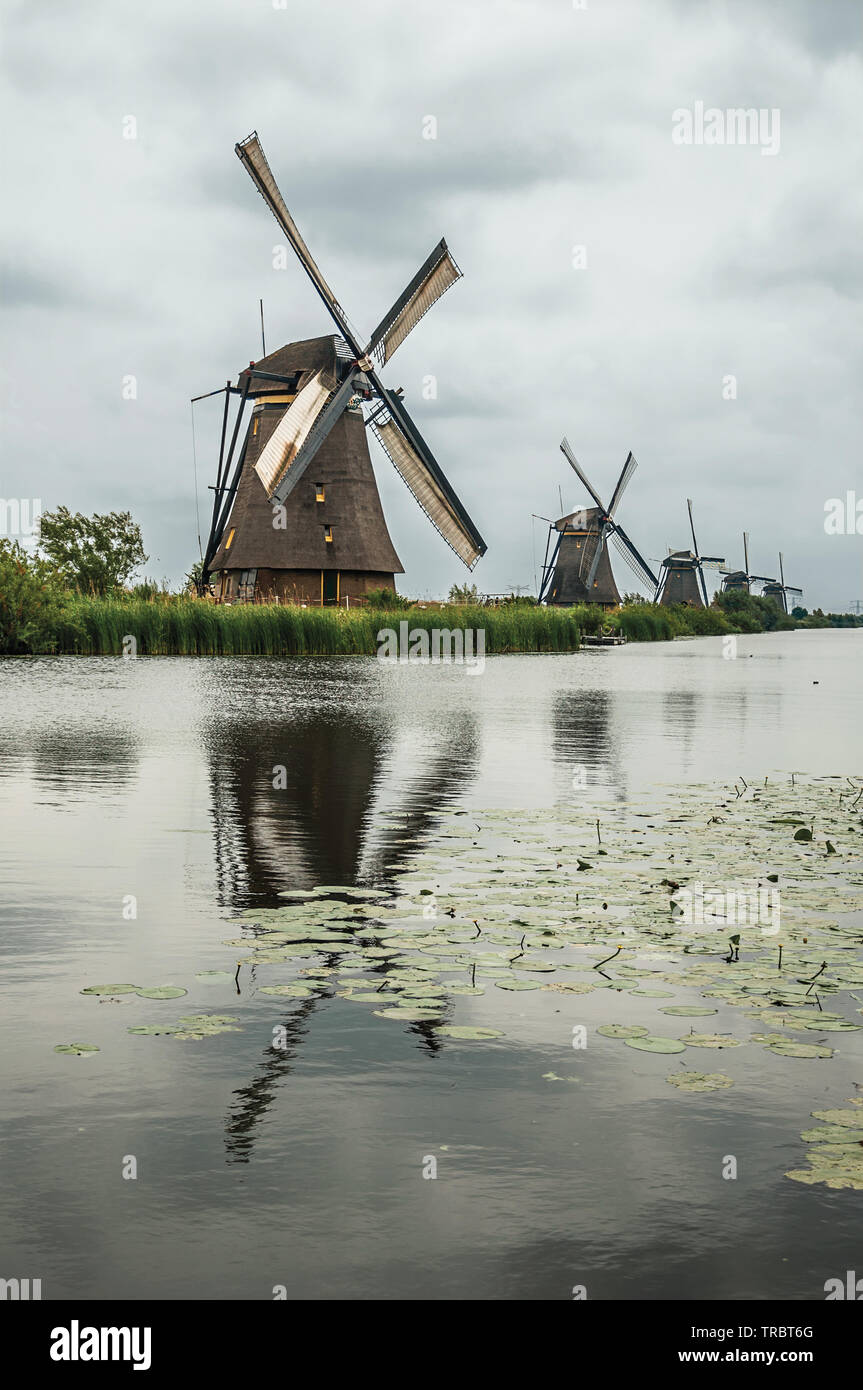Windmill on a polder waterway hi-res stock photography and images - Alamy