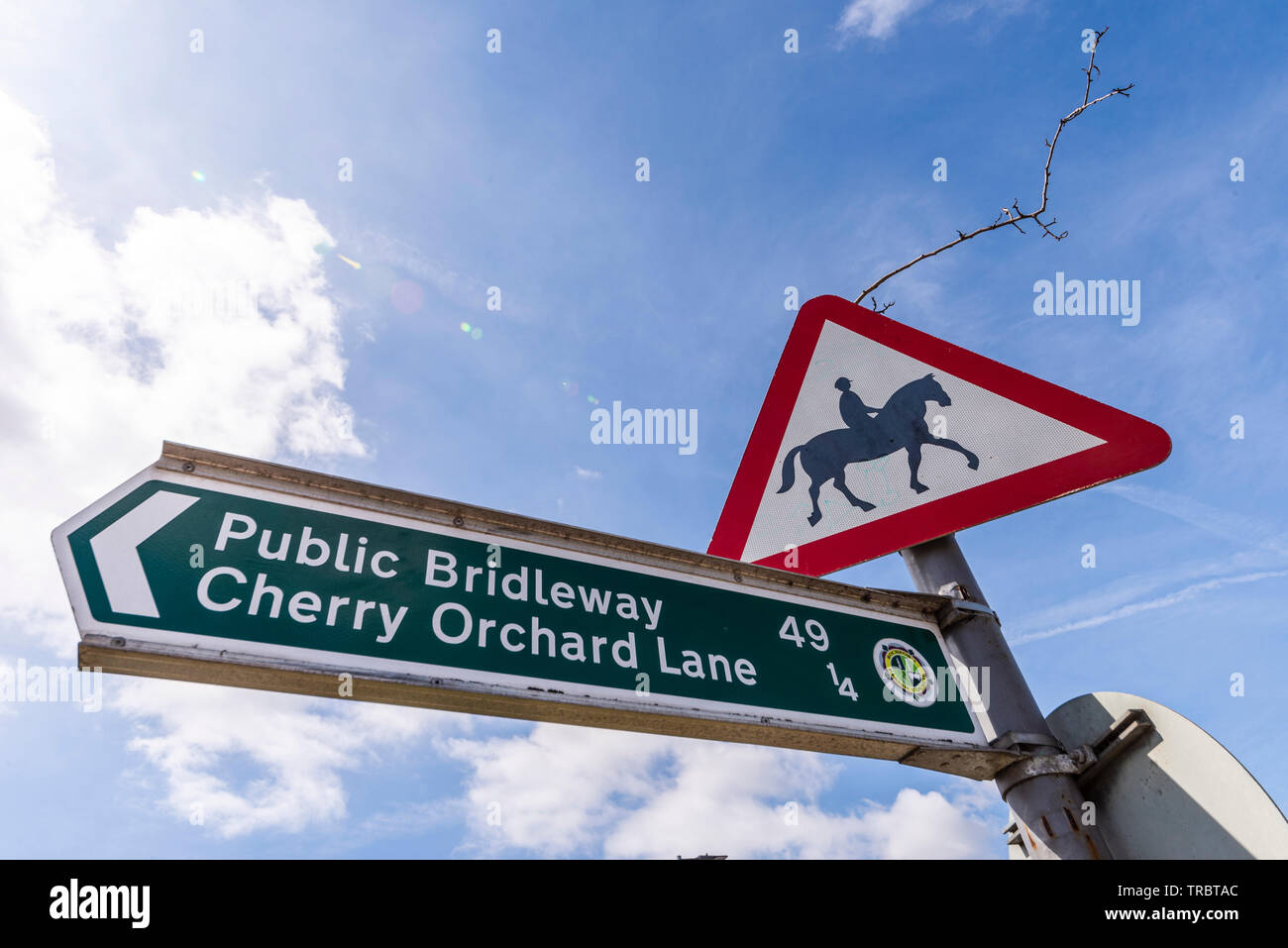 Horses uk road sign hi-res stock photography and images - Alamy
