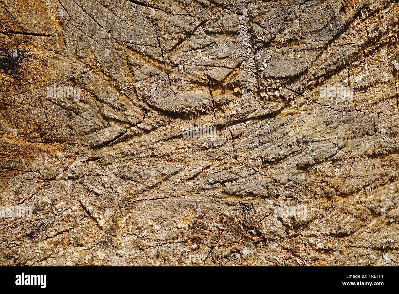 raw logs texture. material, background Stock Photo - Alamy