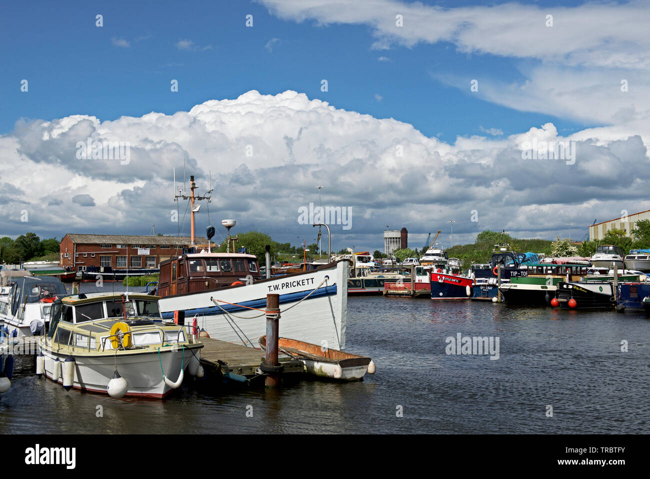 Boats moored in the marina, Goole, East Yorkshire, England UK Stock ...
