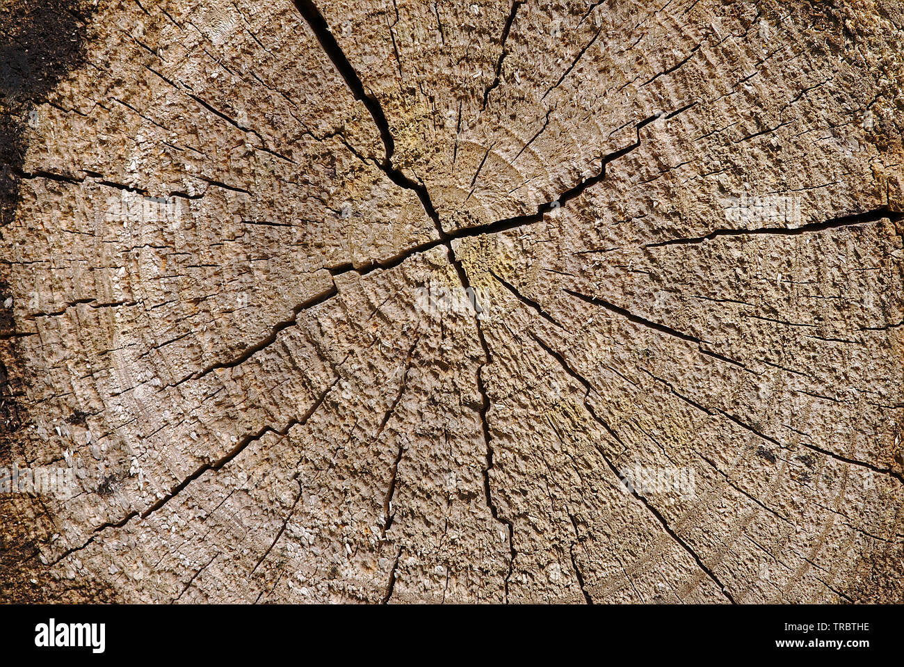 Gross background hi-res stock photography and images - Alamy