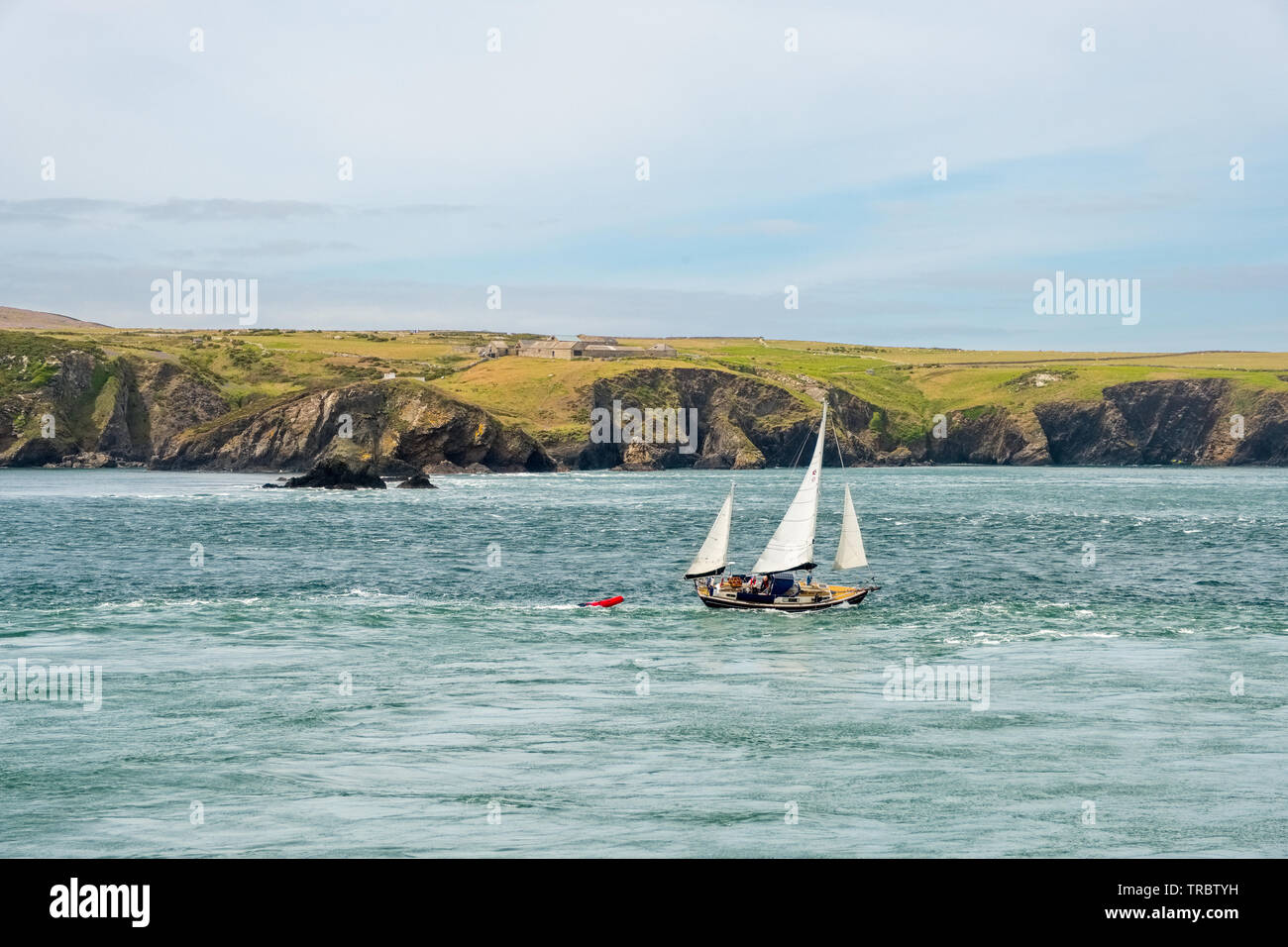 A sailing boat / yacht in Ramsey Sound,Pembrokeshire Coast National ...