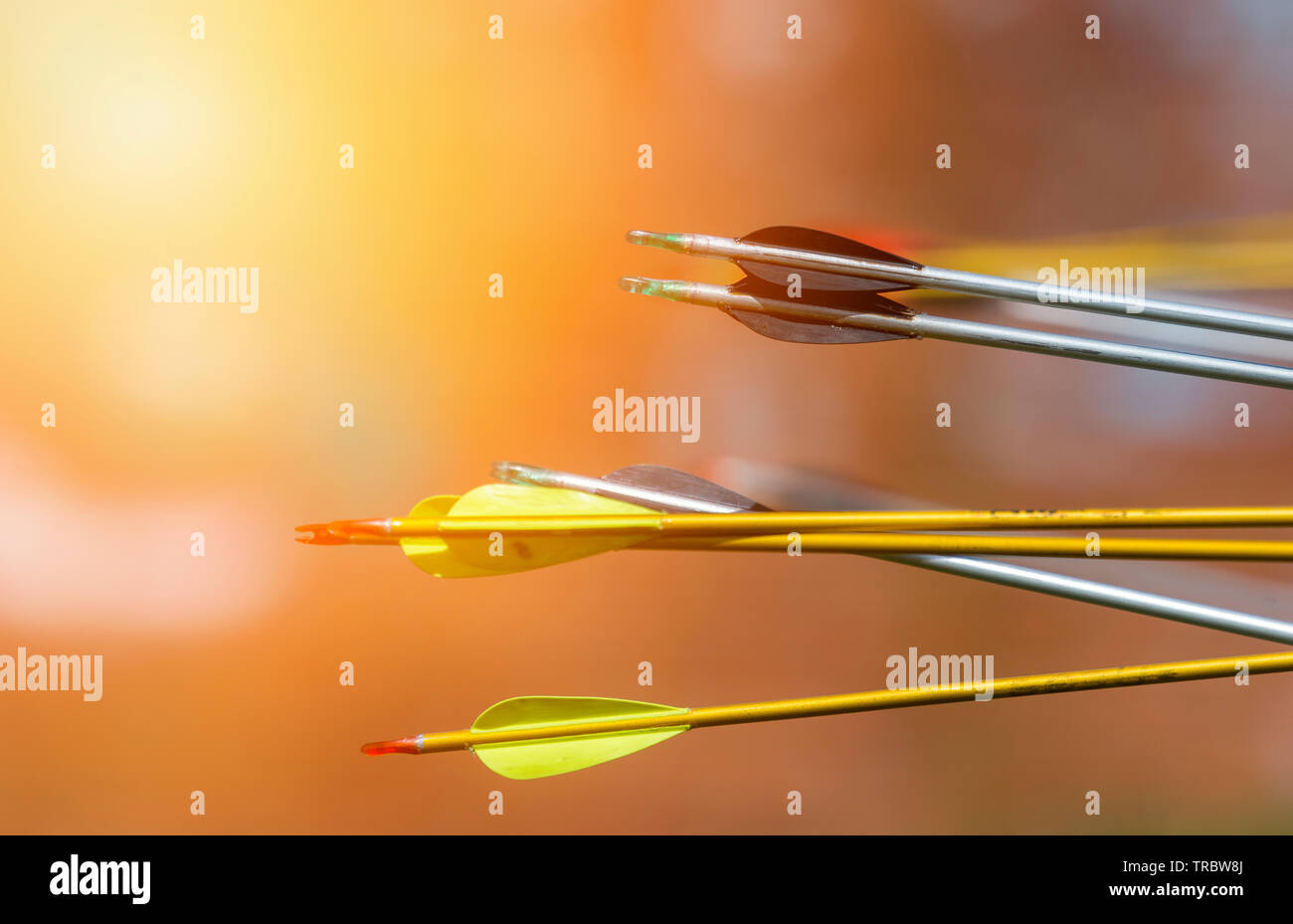 Archery arrows on a blur background. Sunny day Stock Photo - Alamy