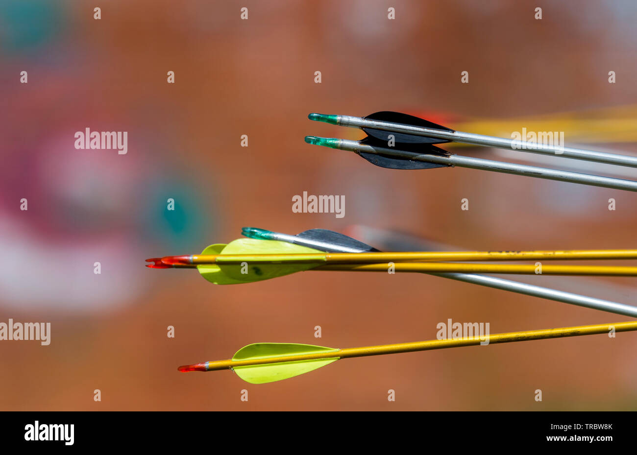 archery arrows on a blur background Stock Photo - Alamy