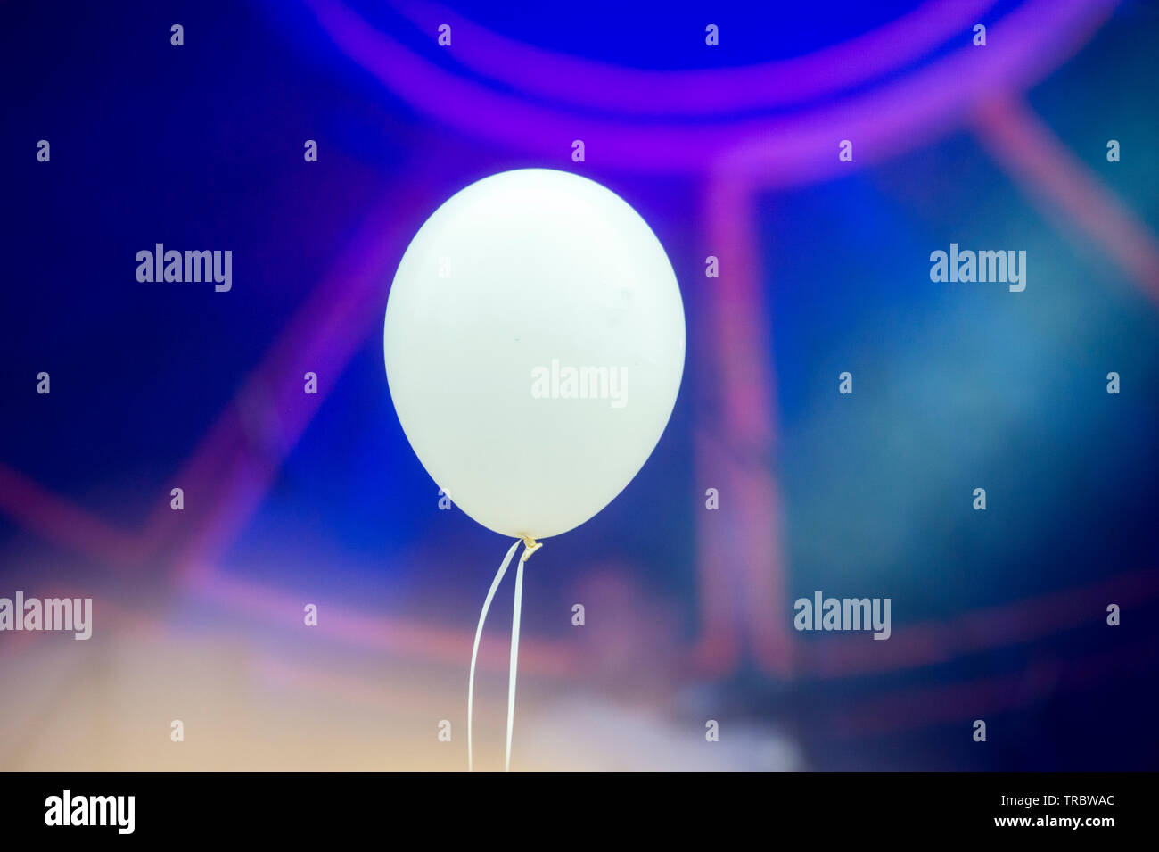 Blank White Helium Balloon on a white String Floating in Mid Air Stock ...