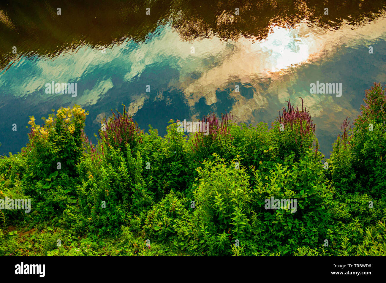 The dommel river hi-res stock photography and images - Alamy