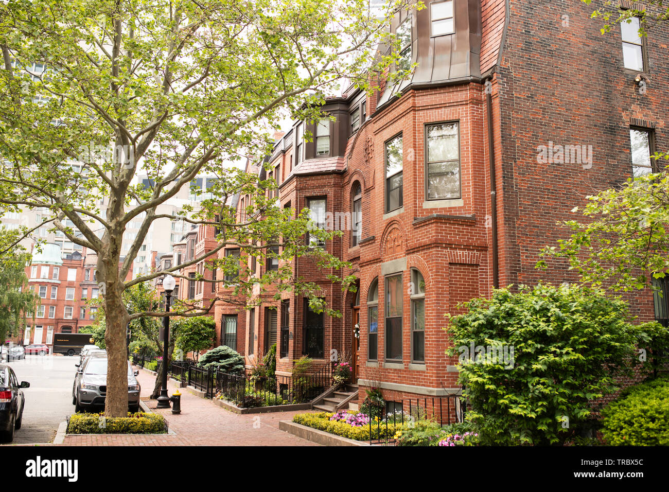 Brownstones Boston Ma