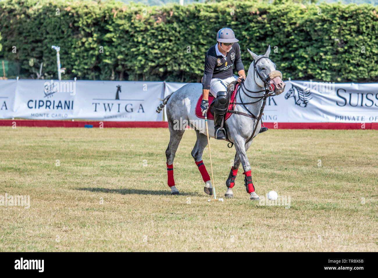 MONACO - MONTE-CARLO POLO CUP (Francesco Mitrano, Bofinos, Royal Salute ...