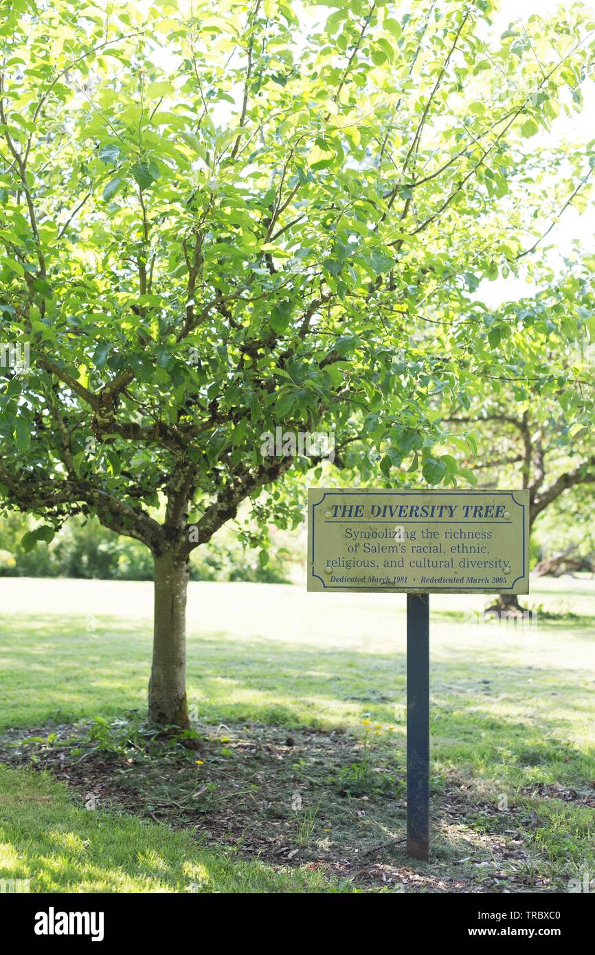 The Diversity Tree at Bush's Pasture Park in Salem, Oregon, USA Stock ...