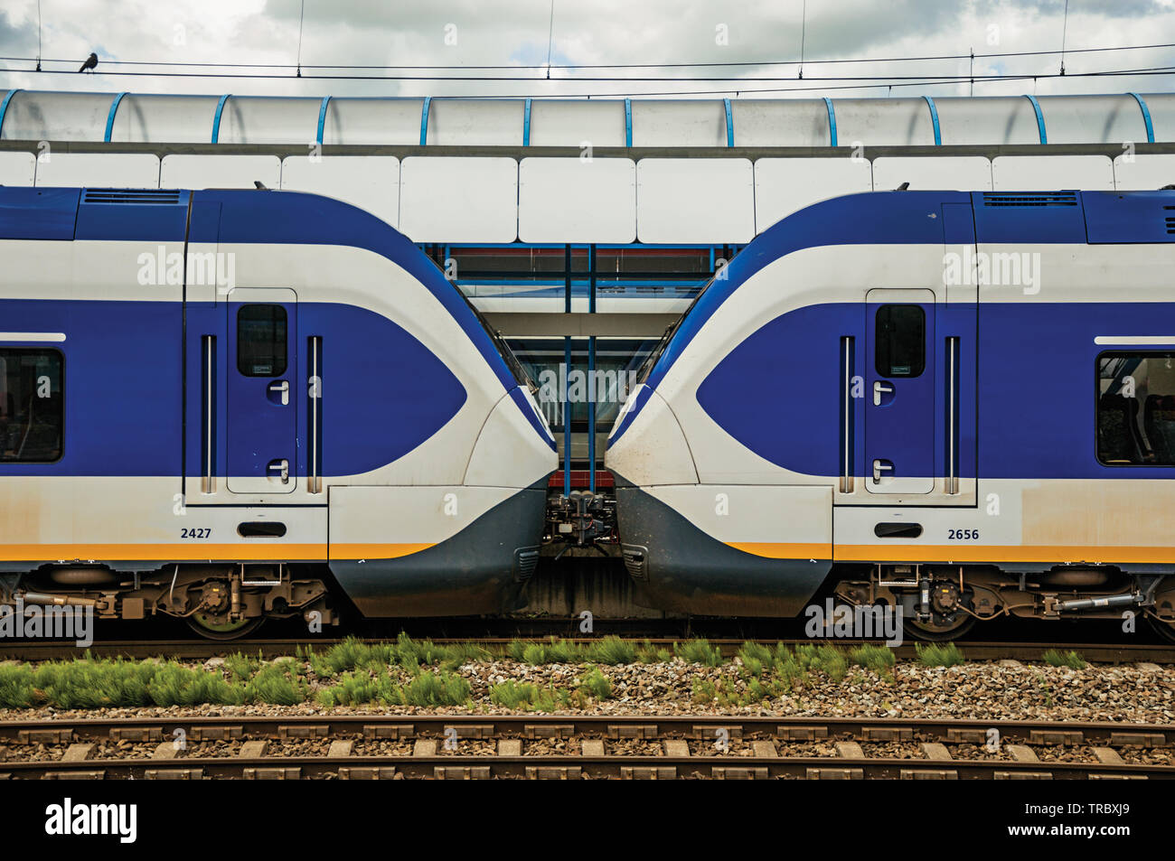 Two locomotives standing face to face that seem to kiss on the Weesp ...