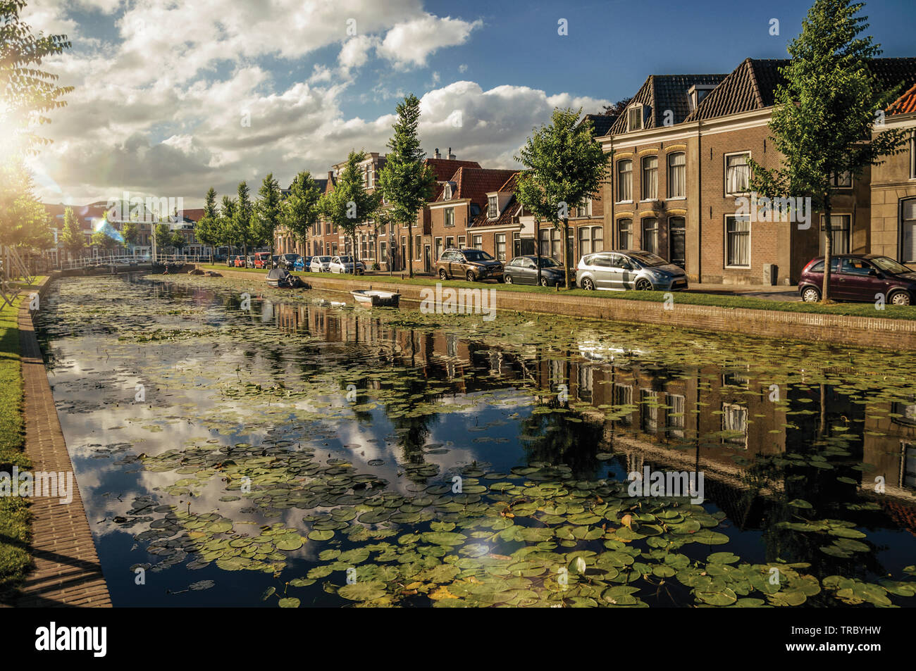 Canal with aquatic plants and brick houses on sunset in Weesp. Pleasant ...