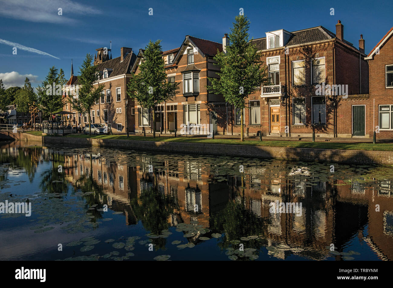 Tree-lined canal, bridge and brick houses on sunset in Weesp. Pleasant ...