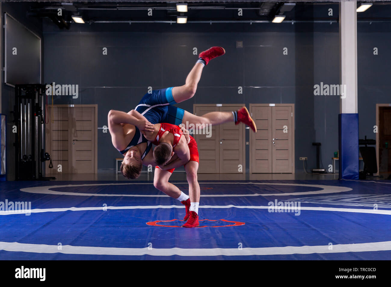 Two young men in blue and red wrestling tights are wrestlng and making ...