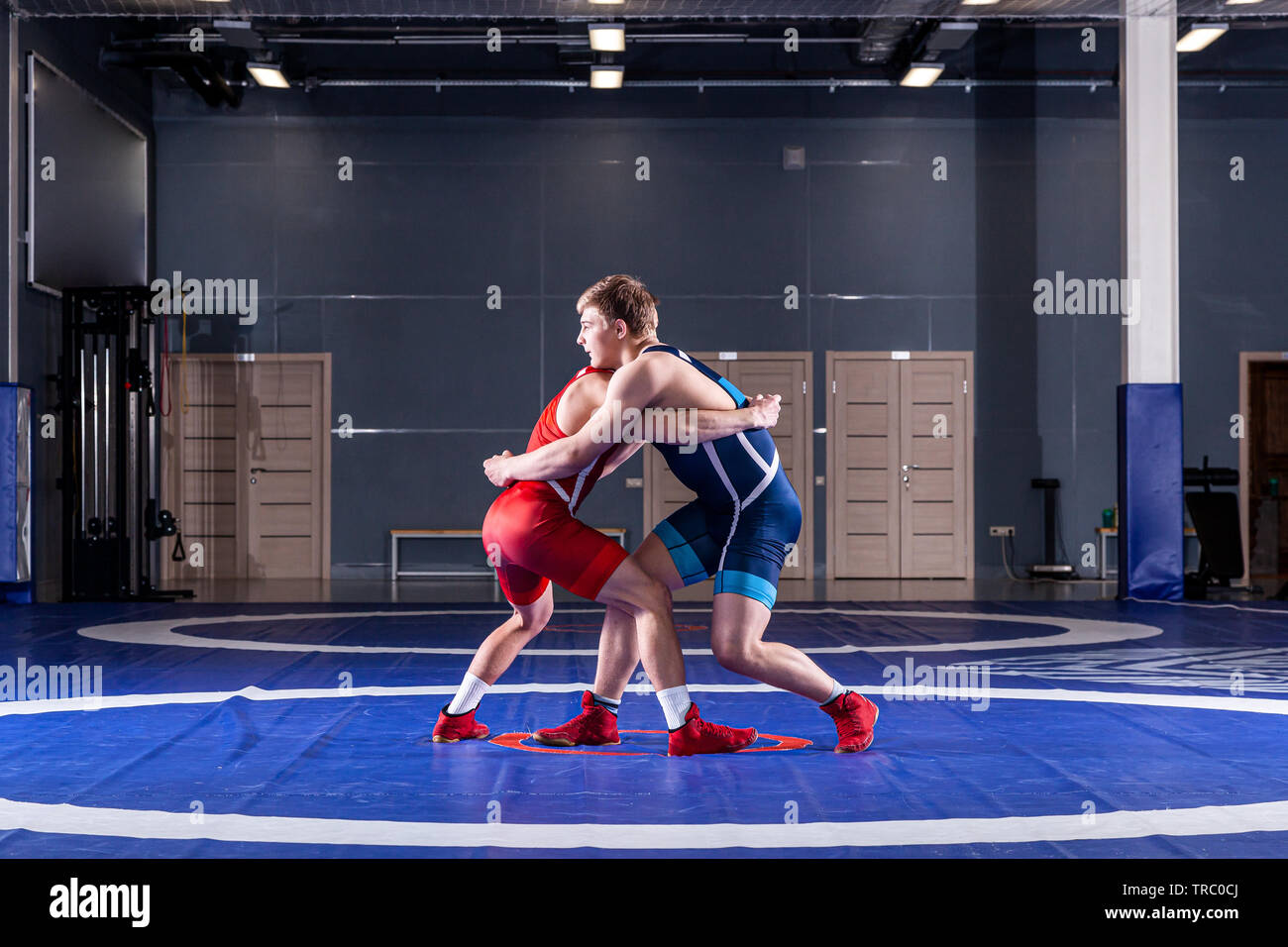 Two strong wrestlers in blue and red wrestling tights are wrestlng and ...