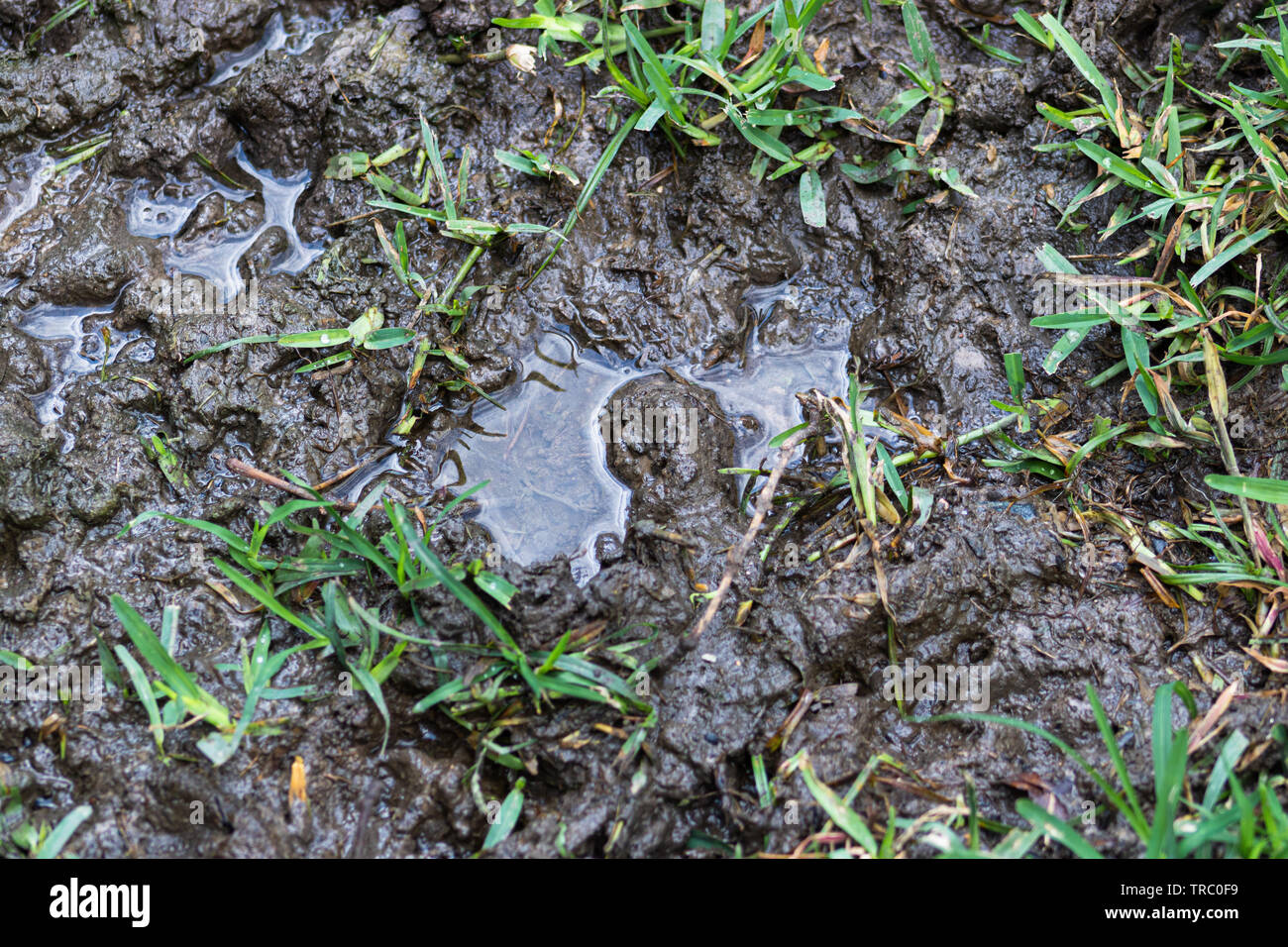 Nuclear mud hi-res stock photography and images - Alamy