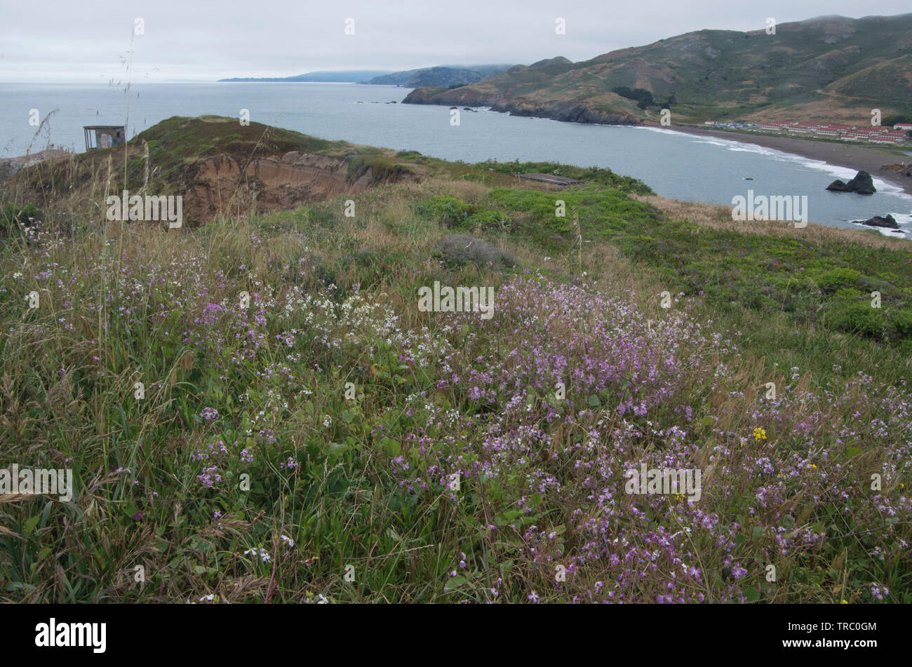 Rodeo Lagoon Vista Point offers excellent views of the surrounding ...