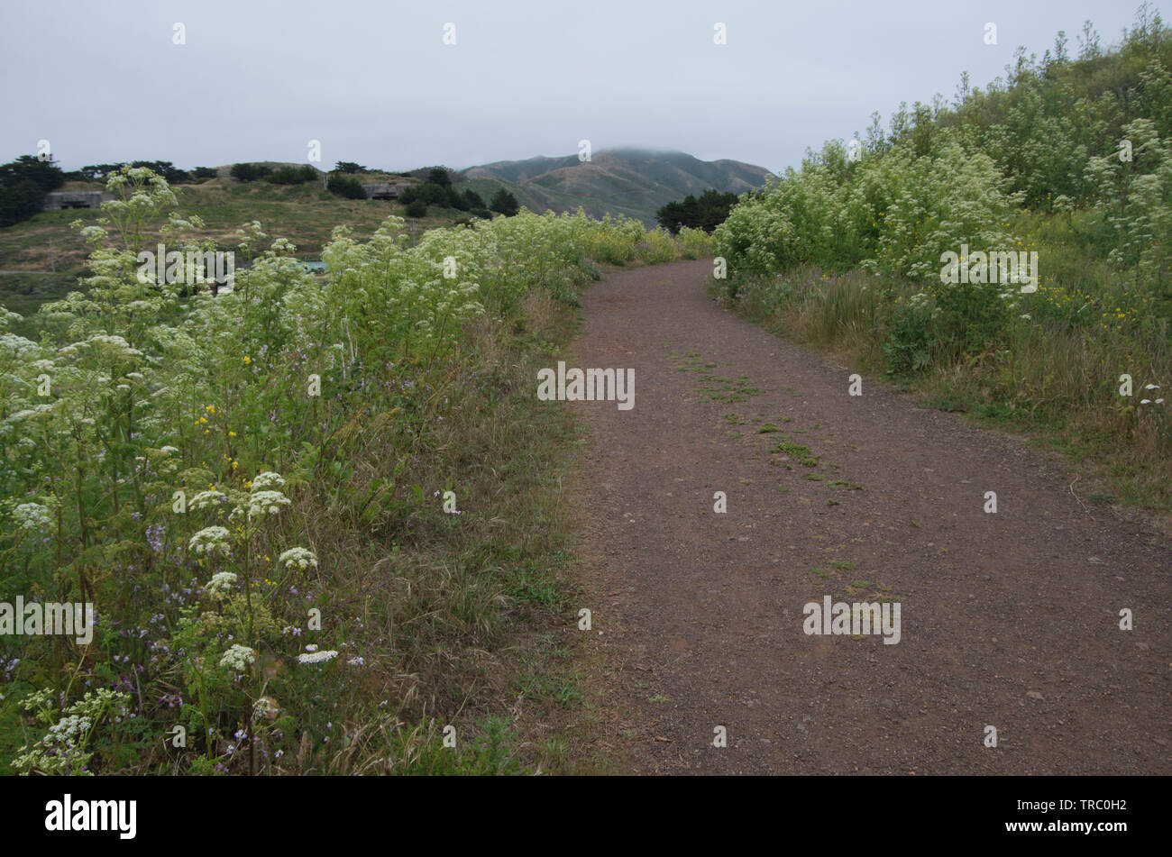 Rodeo Lagoon Vista Point offers excellent views of the surrounding ...