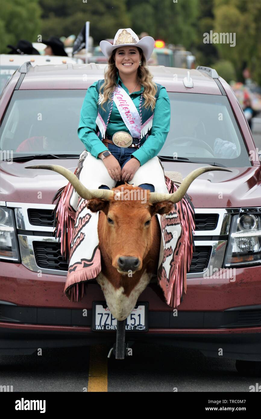 Fake bull hi-res stock photography and images - Alamy