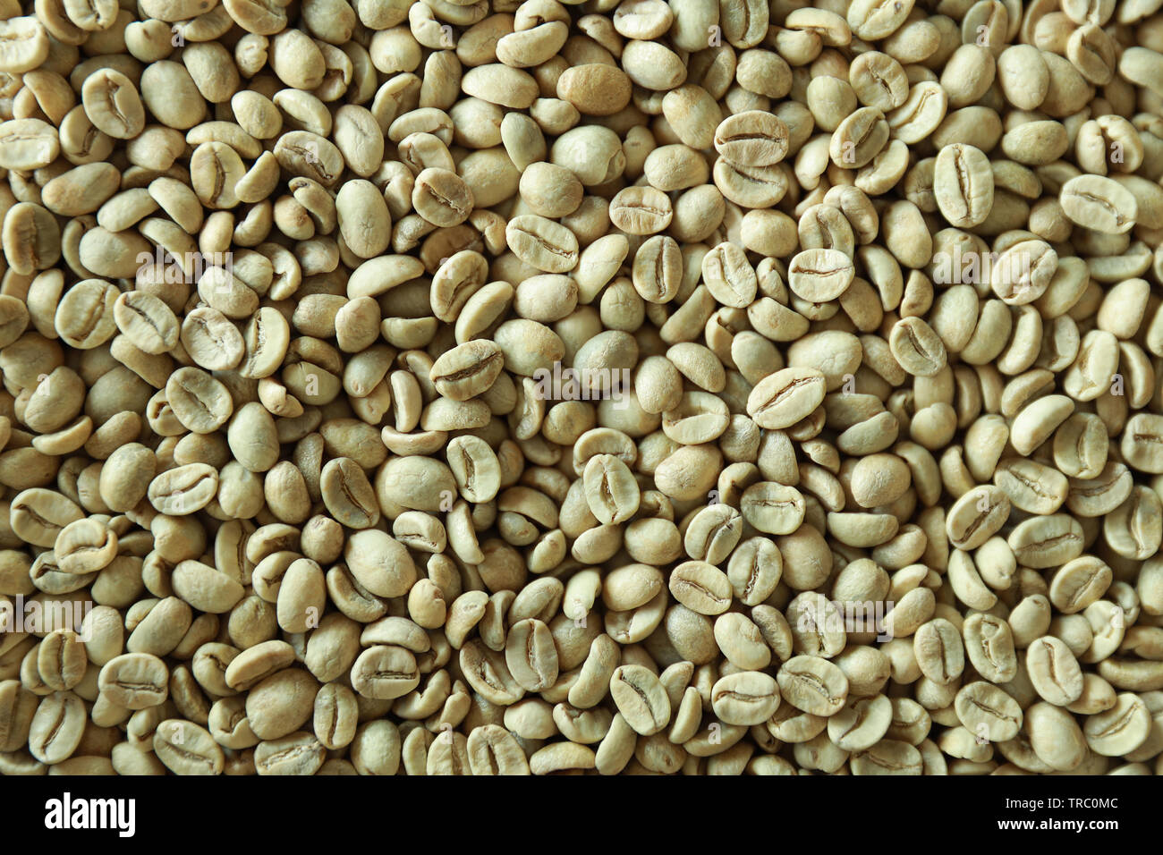 raw green fresh coffee bean, nature Stock Photo - Alamy