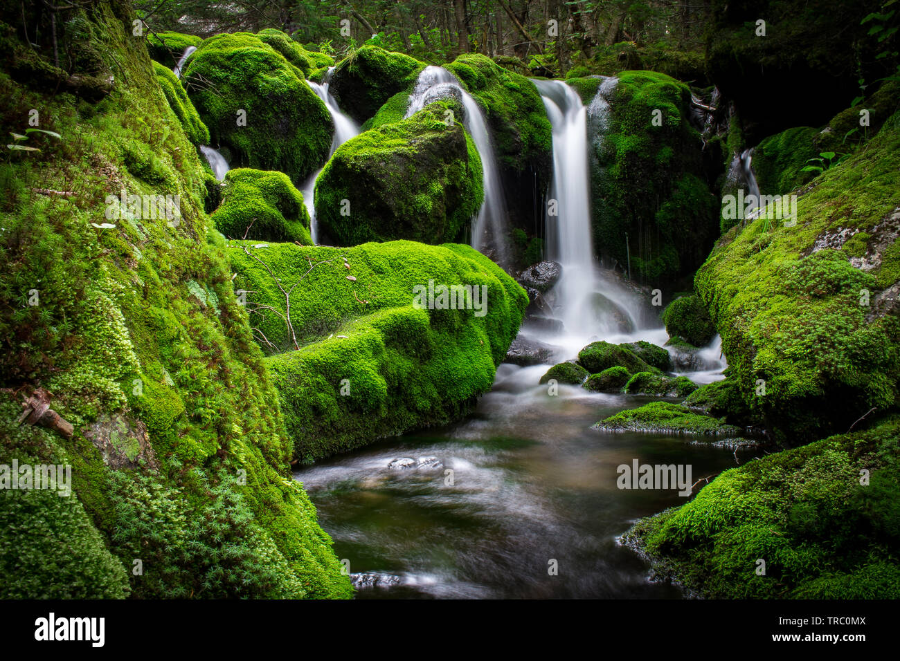 Robert bardelmeier hi-res stock photography and images - Alamy