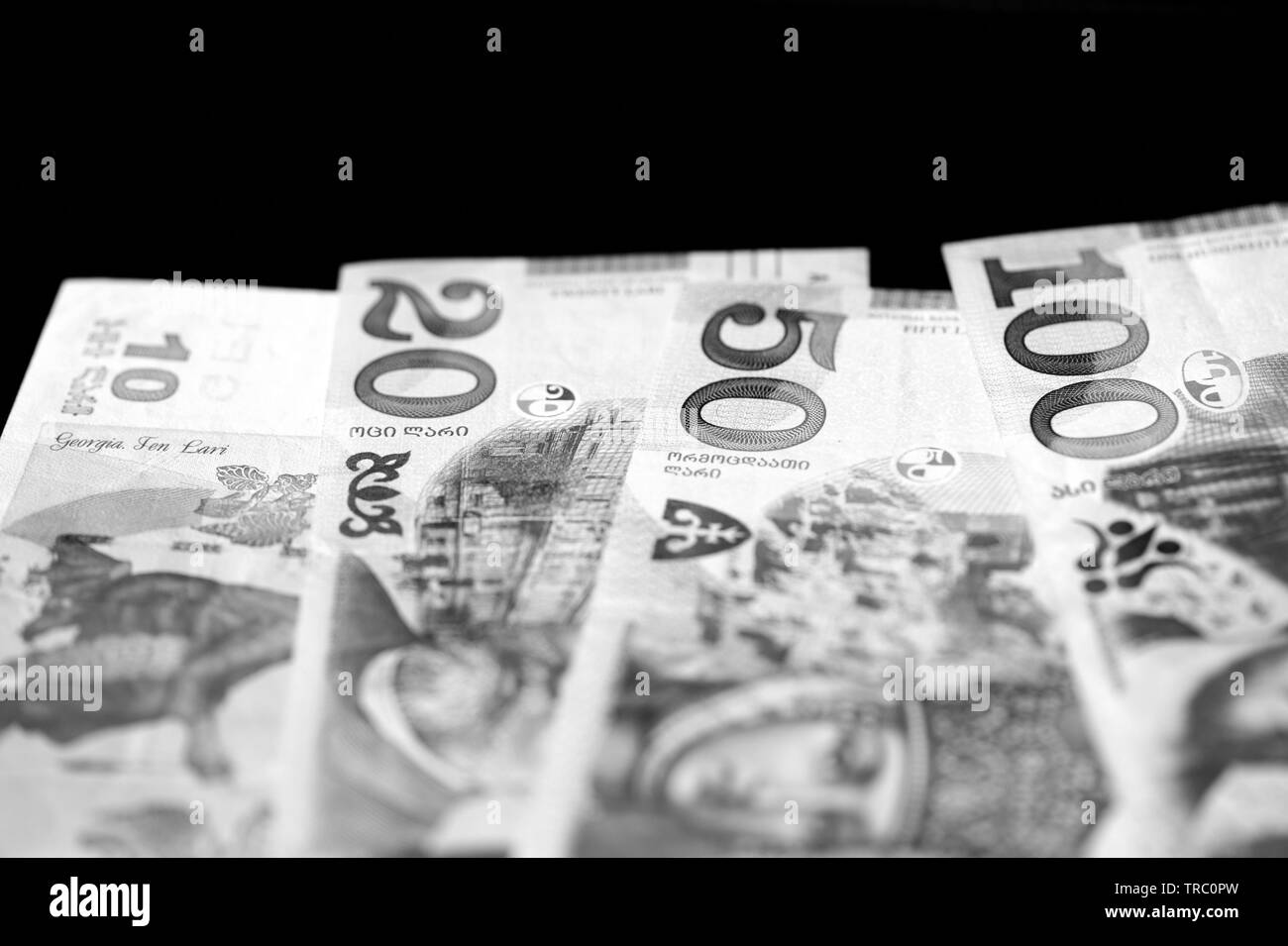 Georgian lari on a dark background close up. Black and white Stock ...