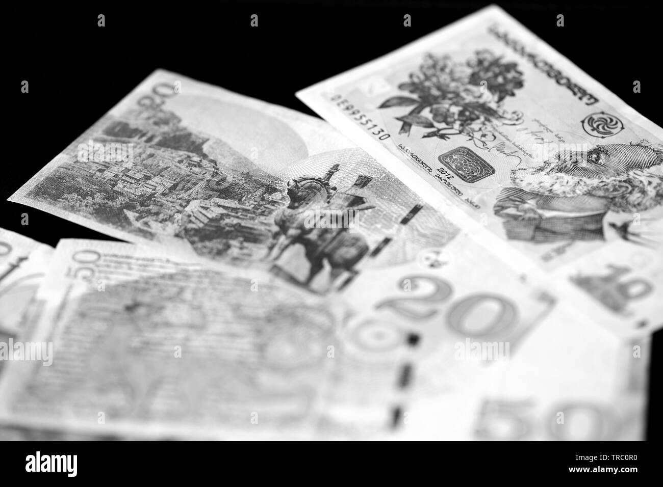 Georgian lari on a dark background close up. Black and white Stock ...