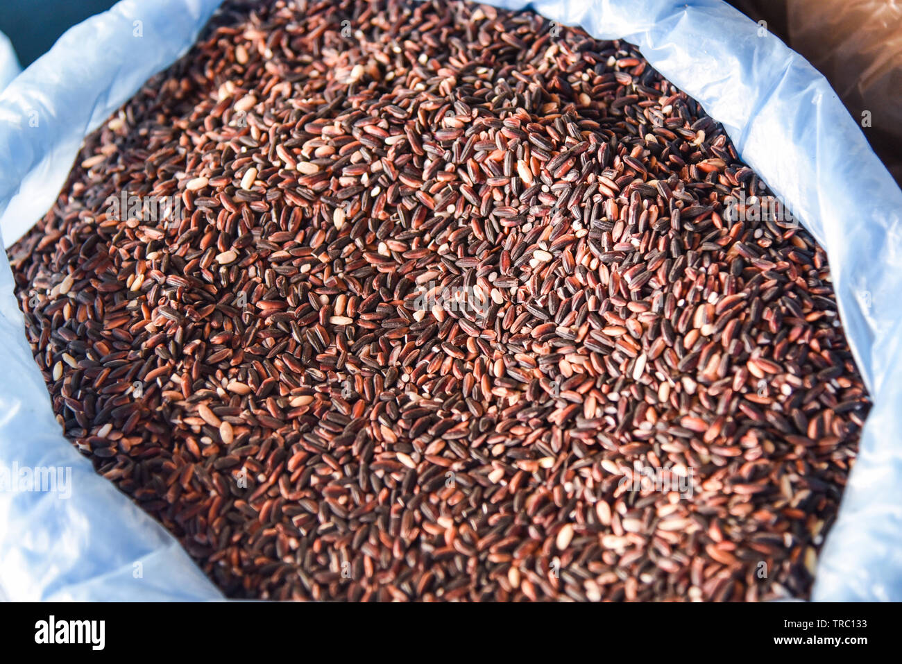 Thai rice purple / Rice berry in bag for sale in the market asia Stock ...