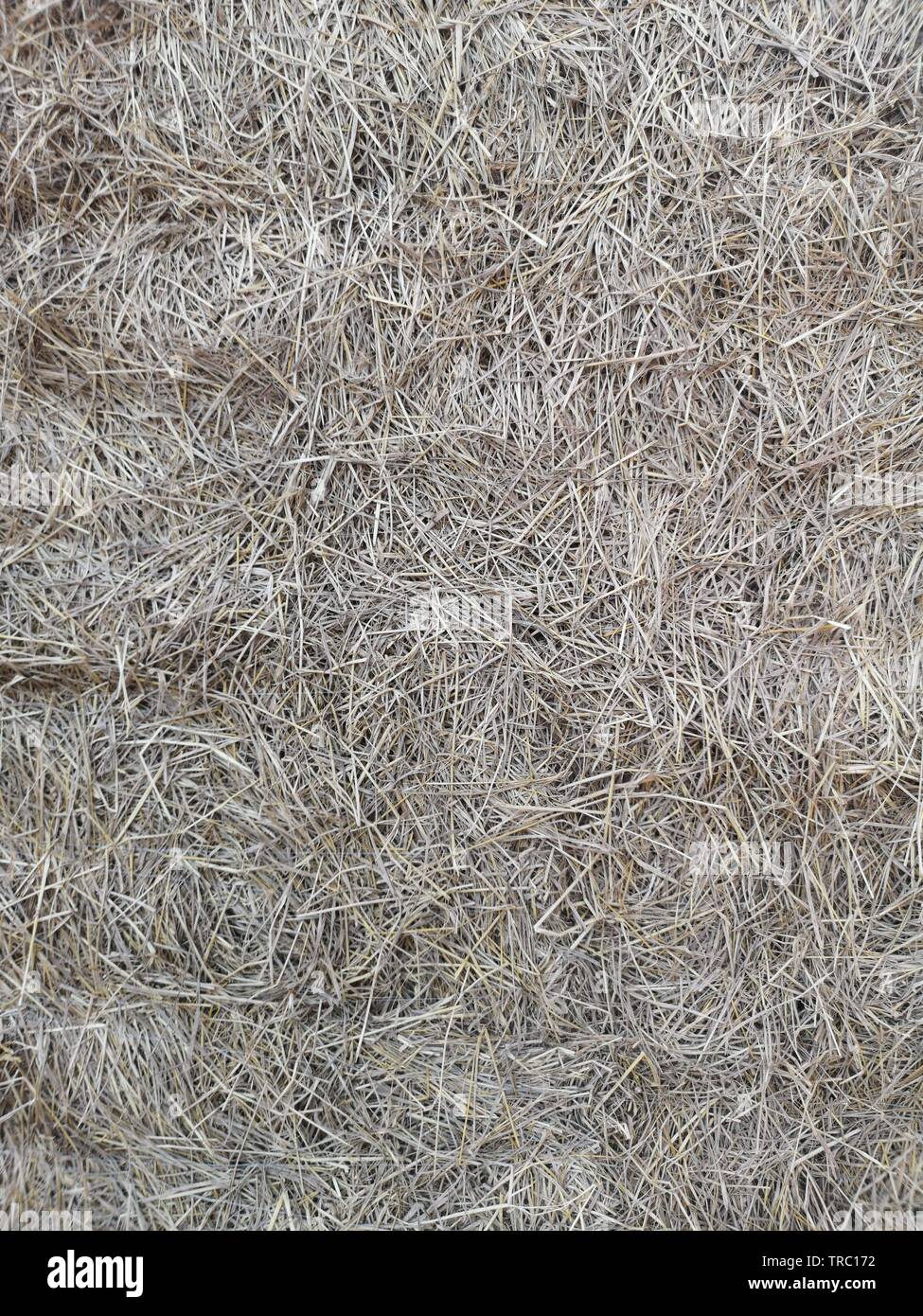 rice straw chaff wall background texture material Stock Photo - Alamy